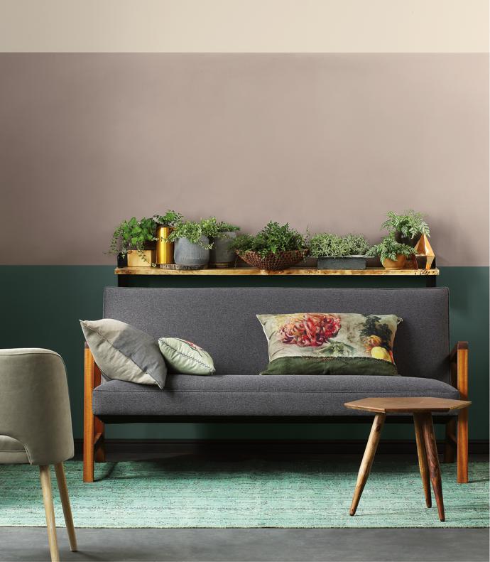 Plascon Colour Forecast 2017 | Visi