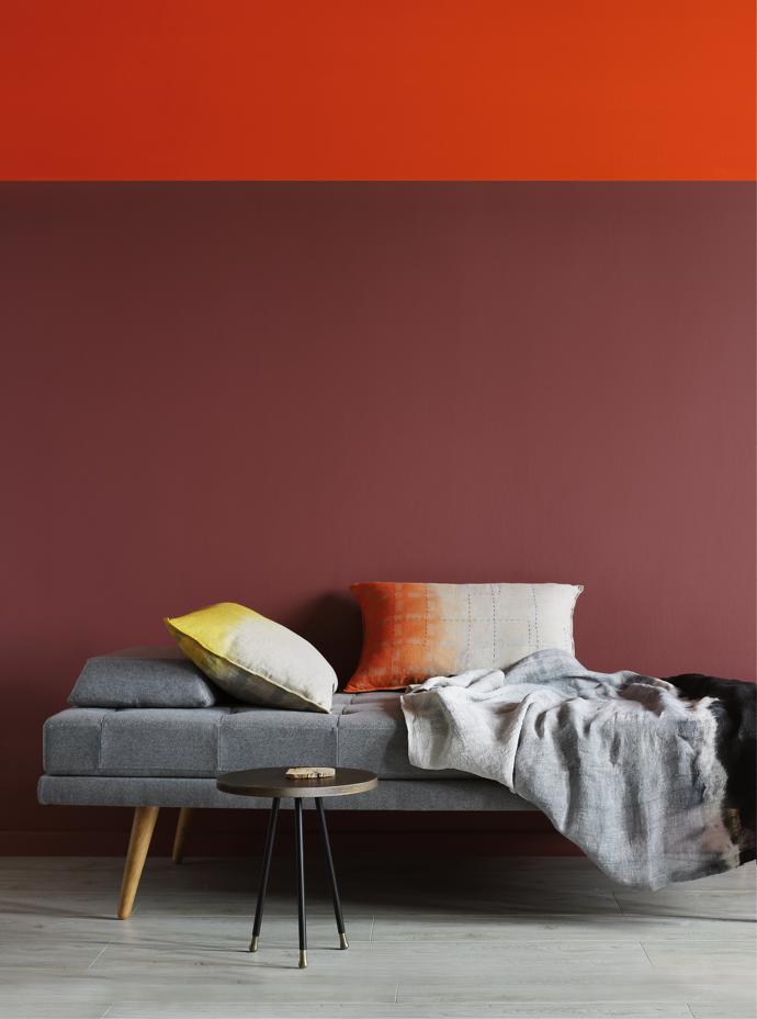 Plascon Colour Forecast 2017 | Visi